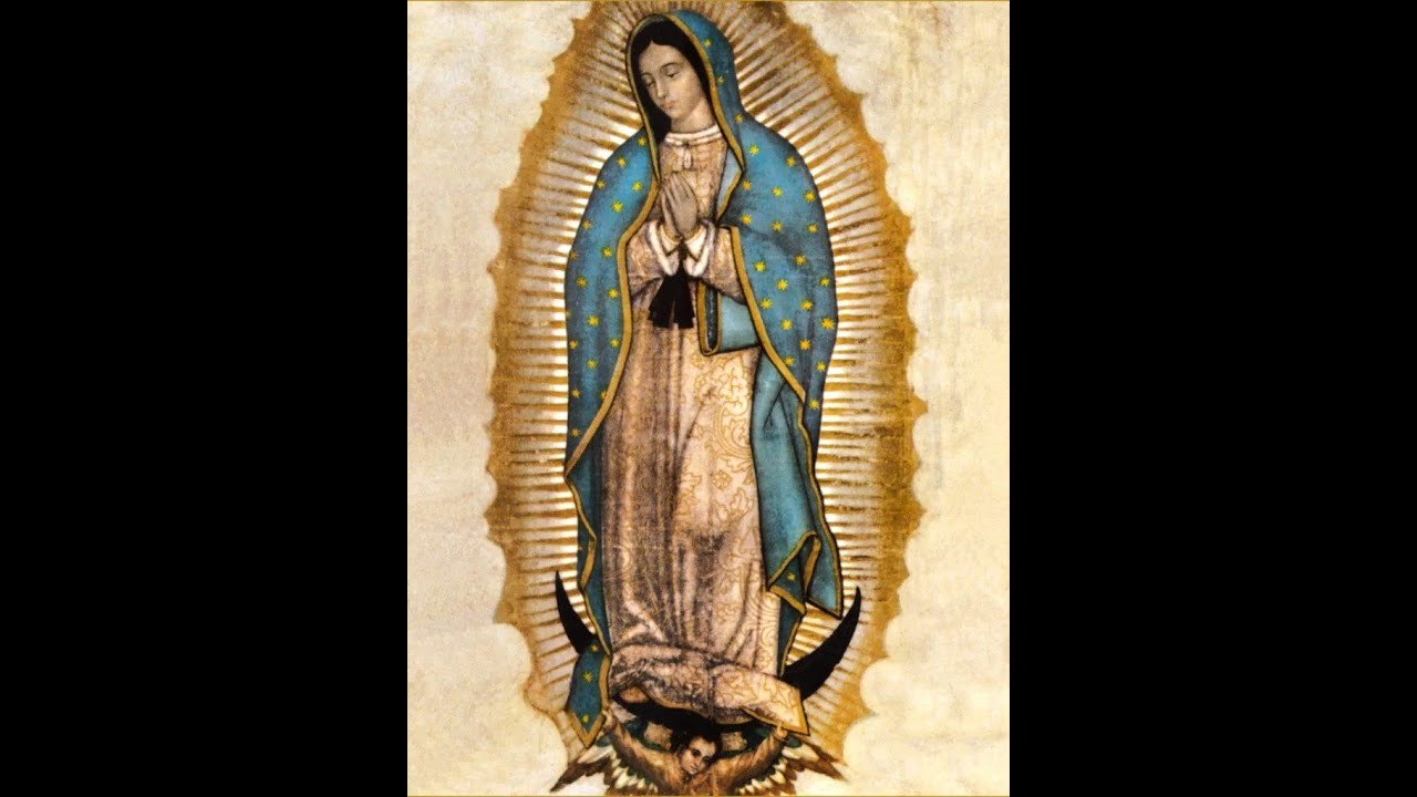 Our Lady of Guadalupe and Miracles of the tilma - YouTube