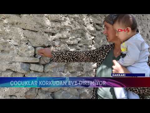 TEK KATLI EVDE 15 YILLIK YILAN KABUSU