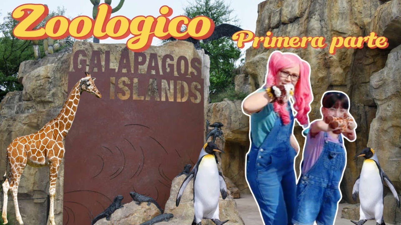Una AVENTURA en el ZOOLOGICO de HOUSTON 2025🦍🦒🐻//PRIMERA parte - YouTube