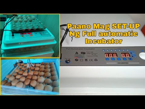 Paano mag SET-UP Ng Full Automatic incubator/ How to Set-up automatic incubator - YouTube