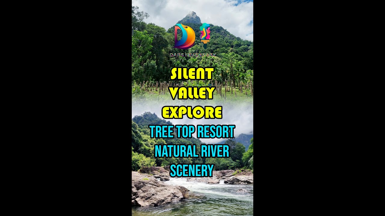 Tree Top Resort, Silent Valley Part - 2 / Tamil Voice Over / Natural ...