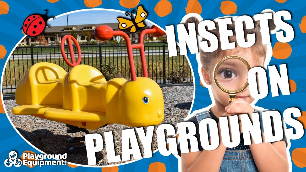 Insects Found On A Playground! - YouTube