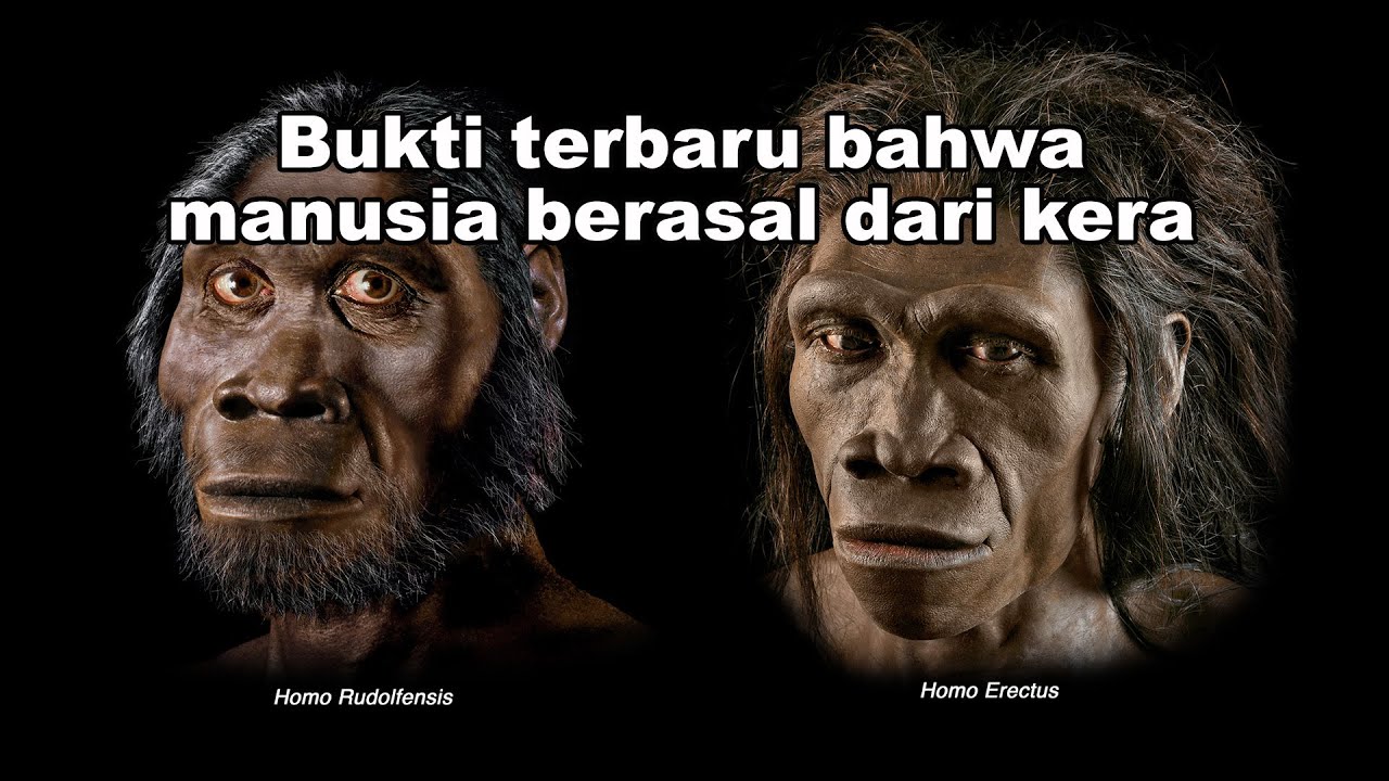 Bukti Terbaru Membuktikan Evolusi Manusia Berasal Dari Kera - YouTube