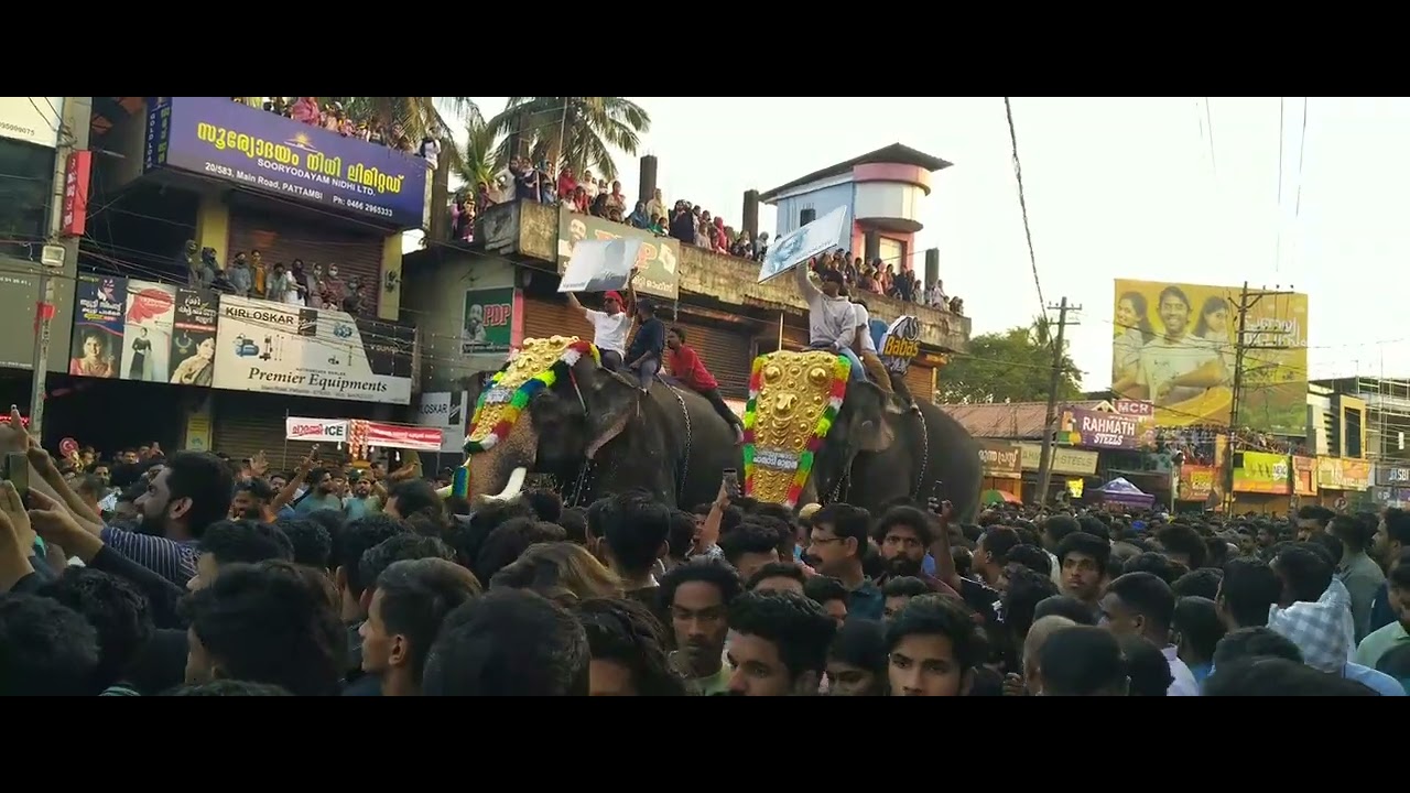 pambadi rajan & pambadi sundharan pattambi nercha babas team - YouTube