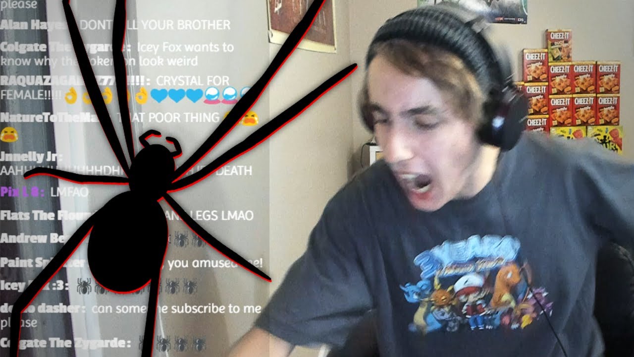 me freaking out over a spider for 5 minutes (stream highlight).mp4 ...