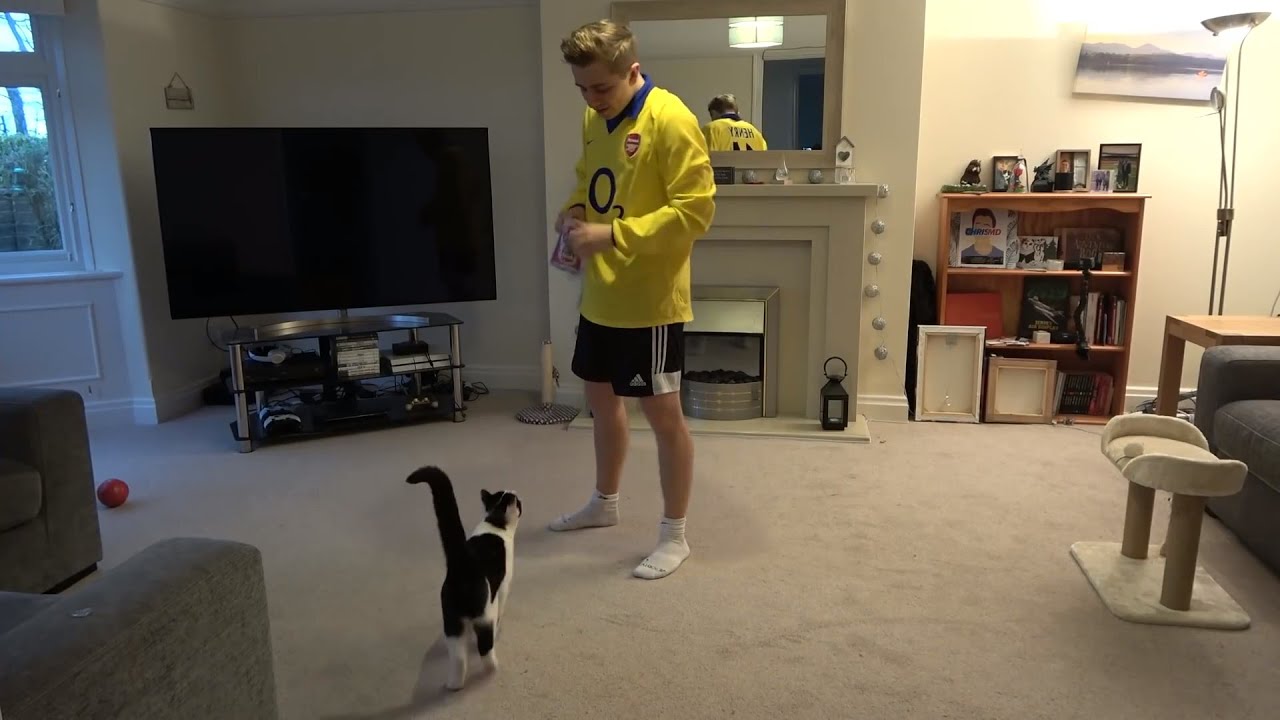 ChrisMD's Cat Becomes Lionel Messi - YouTube
