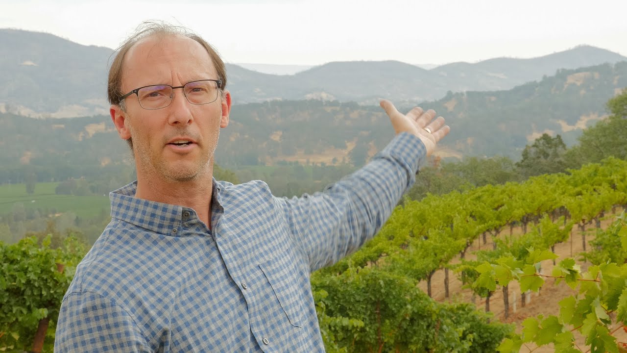 Ink Grade Vineyard, Howell Mountain with Winemaker John Hazak - YouTube