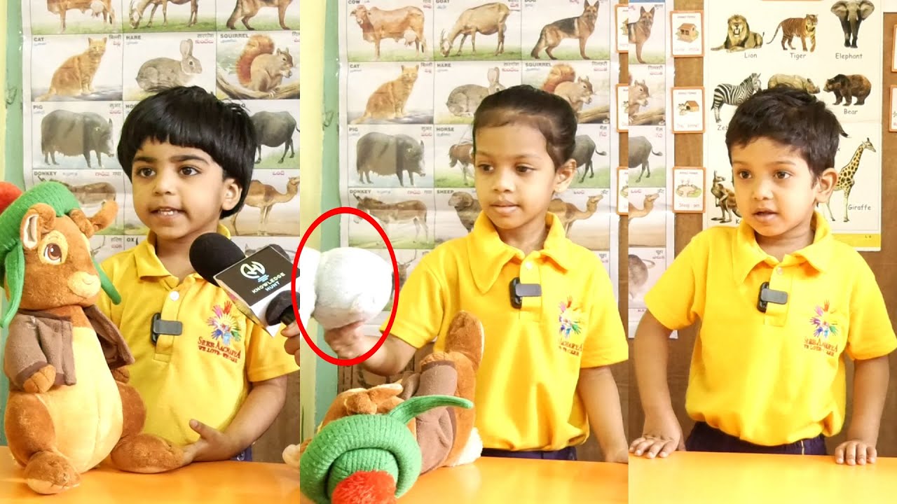 Kids Pre School Activities By Knowledge Hunt - YouTube