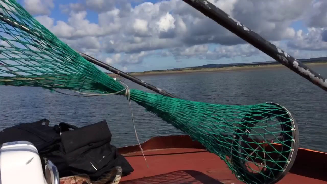 Scuba, Clam Diving shallow water - YouTube