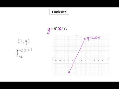 01 Funksies inleiding - YouTube