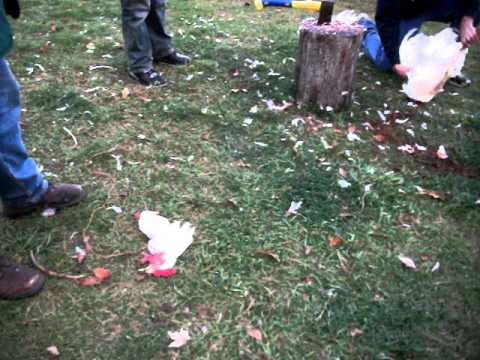 Axe to Chicken's Head - YouTube