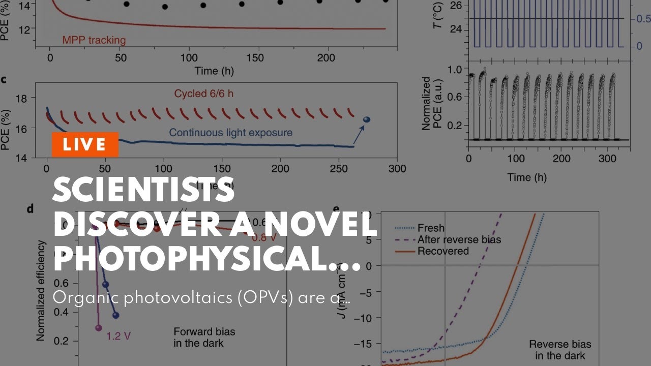 Scientists discover a novel photophysical mechanism that has achieved ...