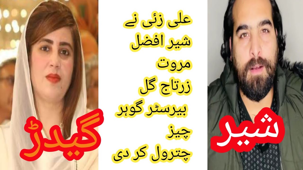 Ali zai na pTI walon ki AC ki tace phair kr Rakh Di |pTI member behaviour with imraan khan ...