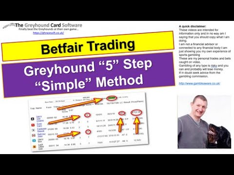 Betfair 5 Greyhound Race Strategy | Live software use - YouTube