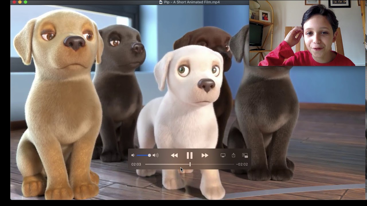 Pip The Guide Dog Sad Animation - YouTube