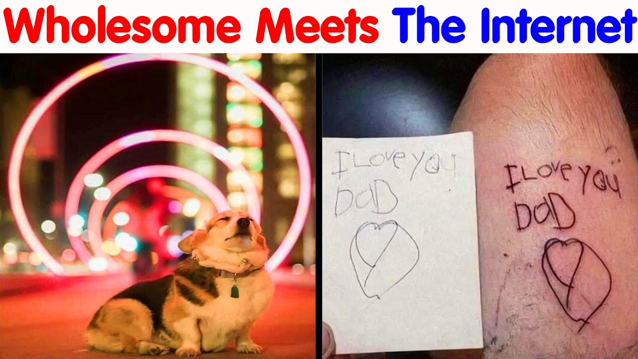 50 Positive And Uplifting Pics From The “Wholesome Meets The Internet ...