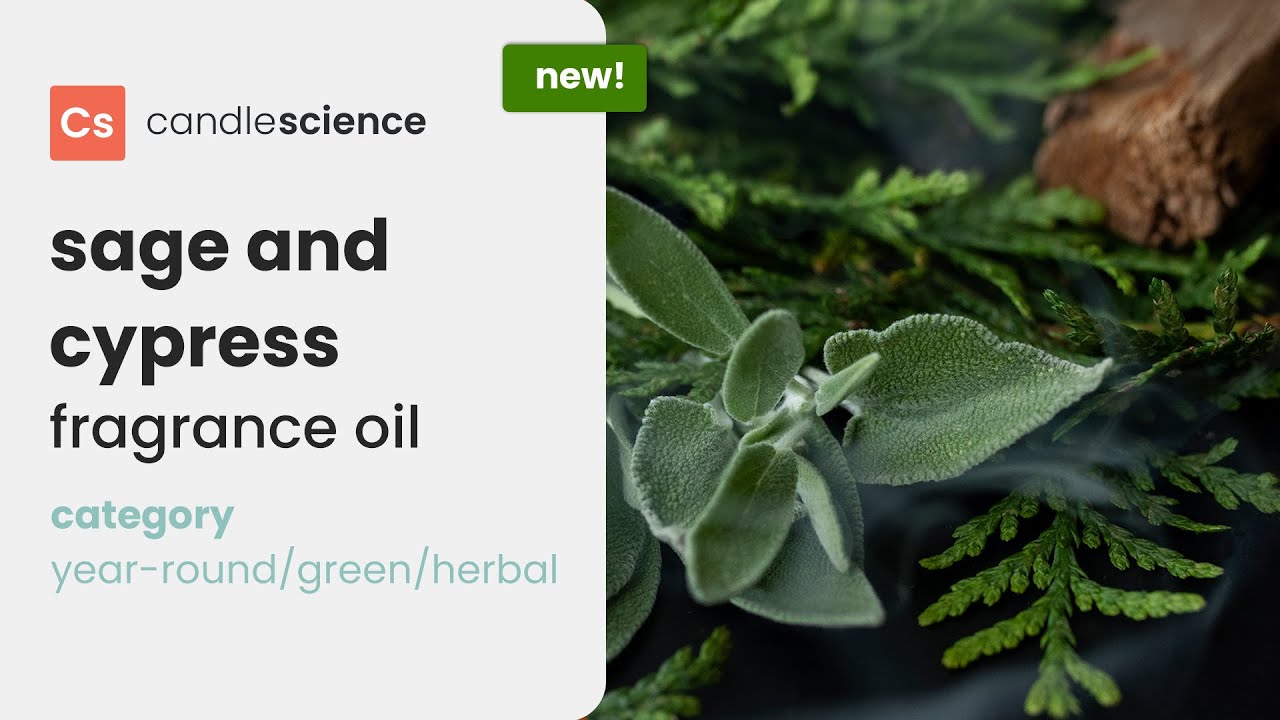 Sage and Cypress Fragrance Oil from CandleScience || Cleansing Green ...