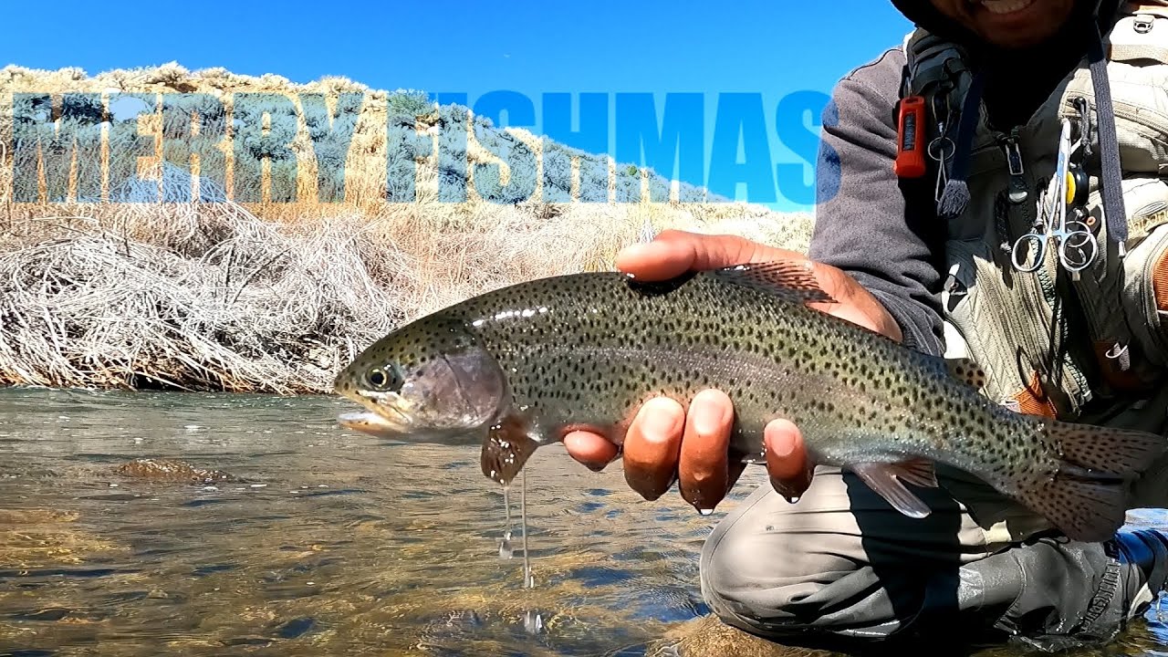 The Day After Fishmas 2024 | Eastern Sierra Fly Fishing- Free Form Fly ...