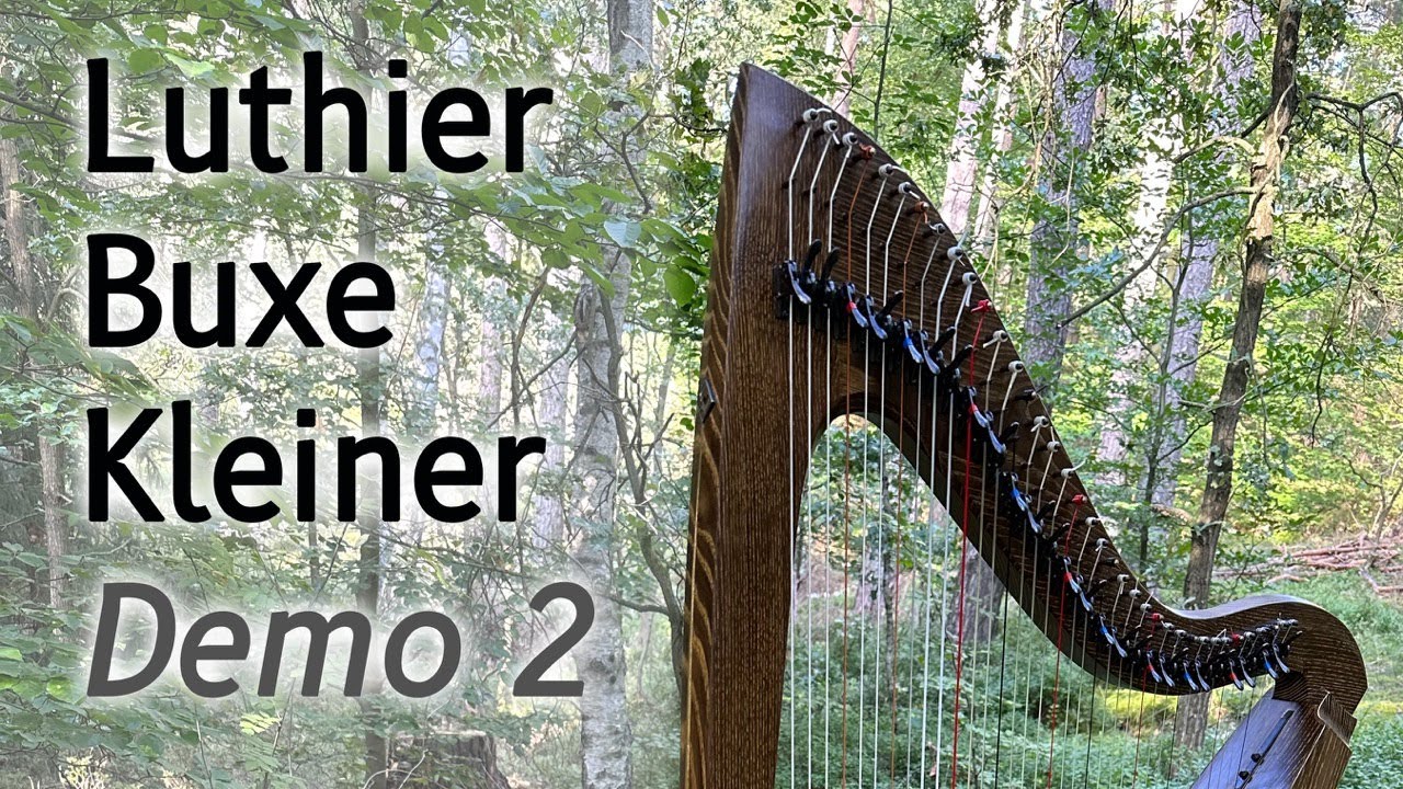 Harp Demo: Improvisation on 37 string harp by Buxe Kleiner - YouTube