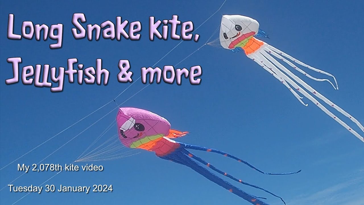 Long Snake kite, Jellyfish & more - YouTube