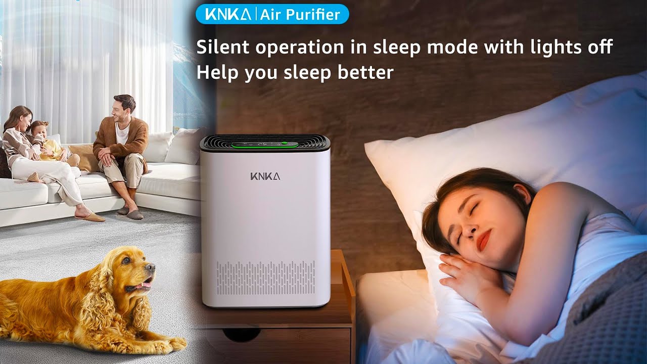 Powerful Air Purifier for Large Rooms – APH3000 Review! - YouTube