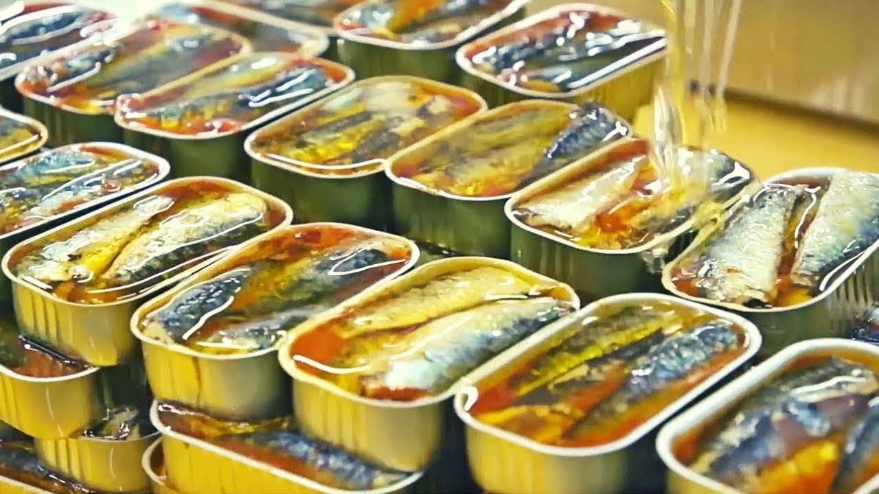 How Canned SARDINES Are Made 🥫| How billions of Sardines are Fished and ...