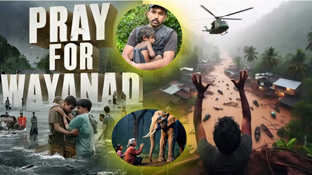 Different incidents at Kerala's Wayanad - YouTube