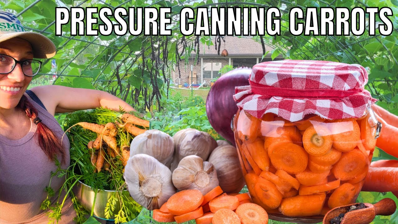 THE EASY WAY to pressure canning carrots | Preserve your harvest - YouTube