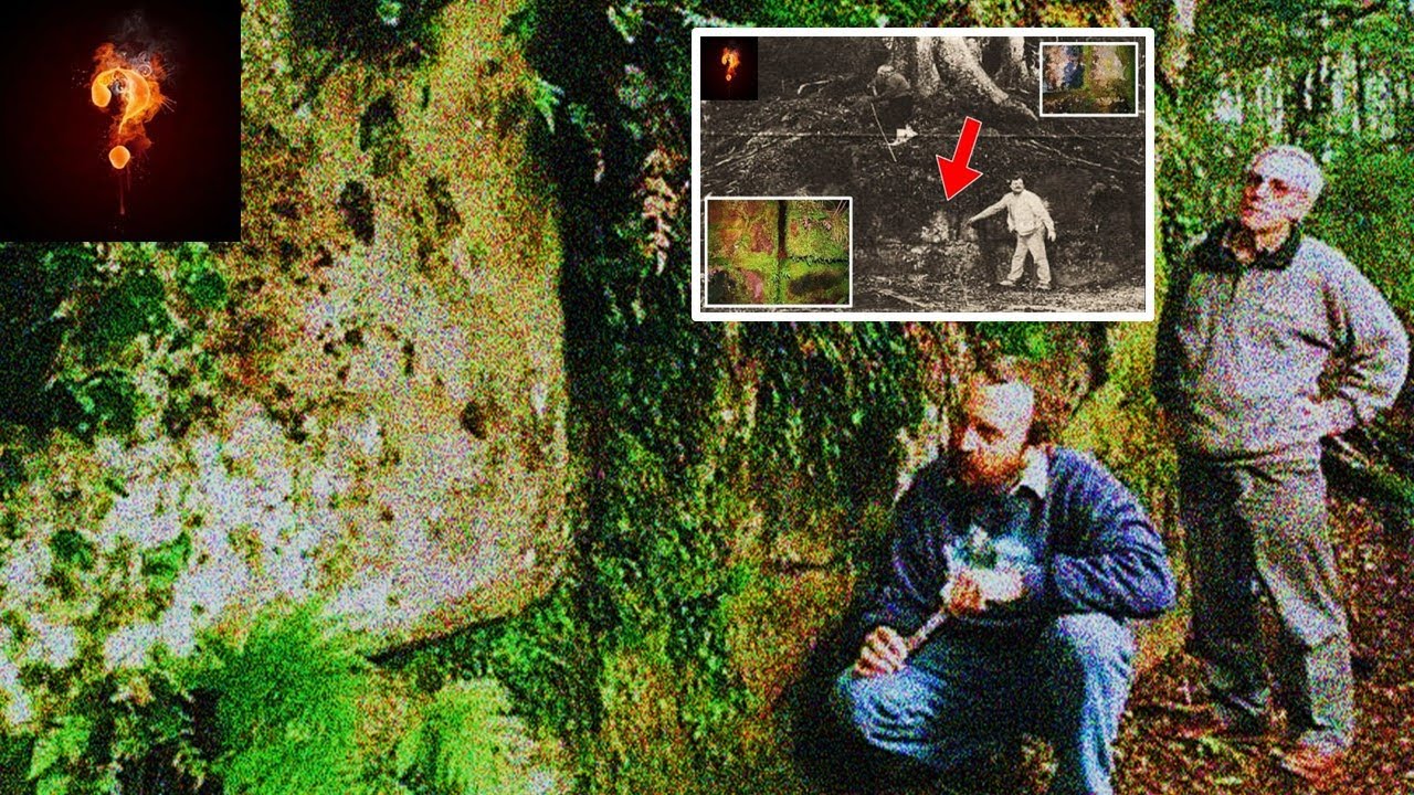 300,000 Year Old Man-Made Wall In New Zealand? - YouTube