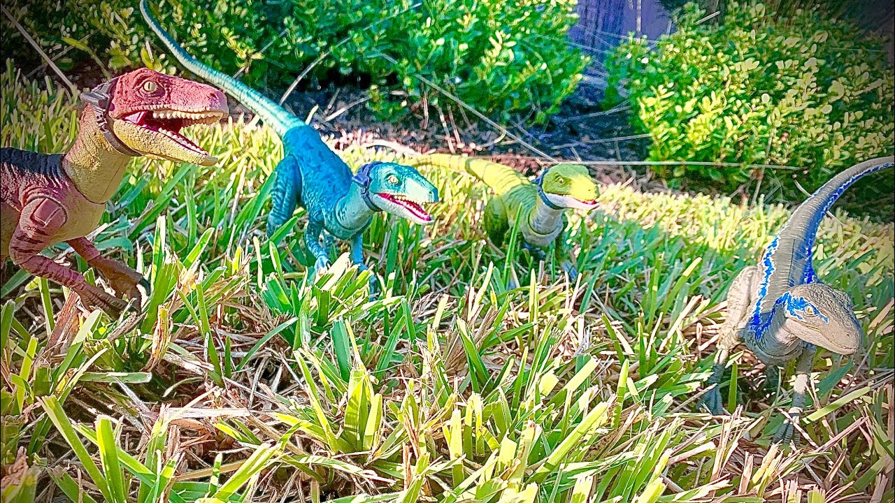 The Raptor squad with lights 1 amber collection - YouTube