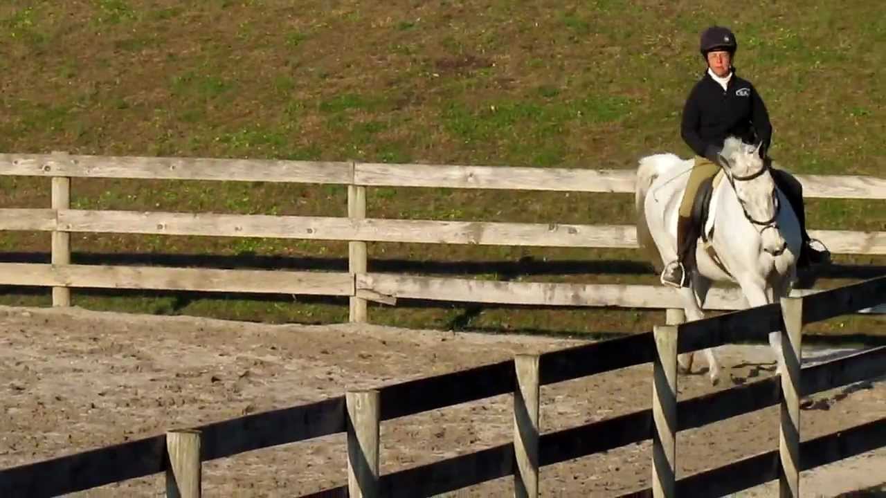 It's Hilca Schooling Flatwork - YouTube