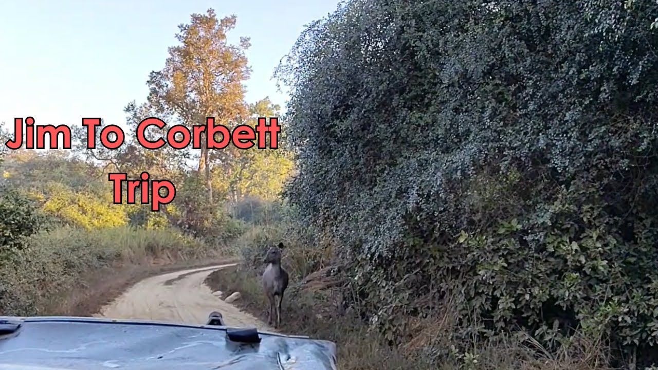 Jim Corbett Trip - YouTube