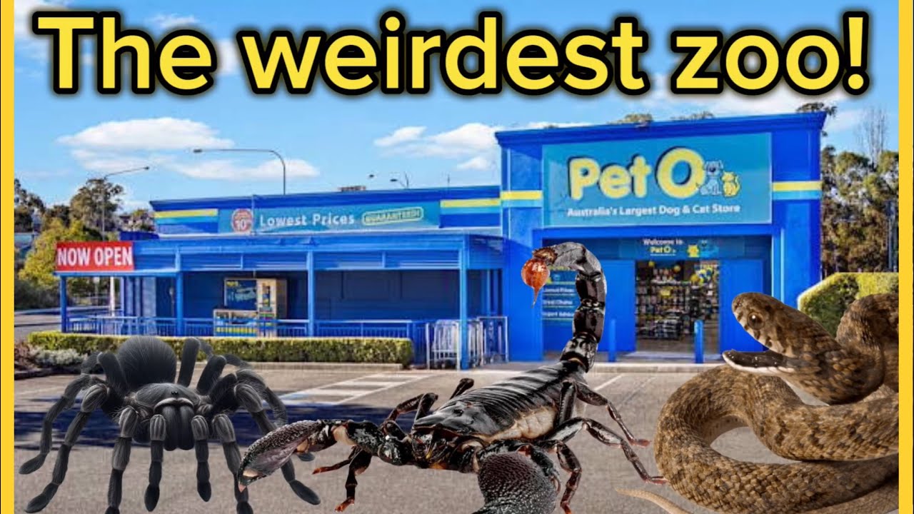 Visiting a pet store with the weirdest animals ever! PT2 - YouTube