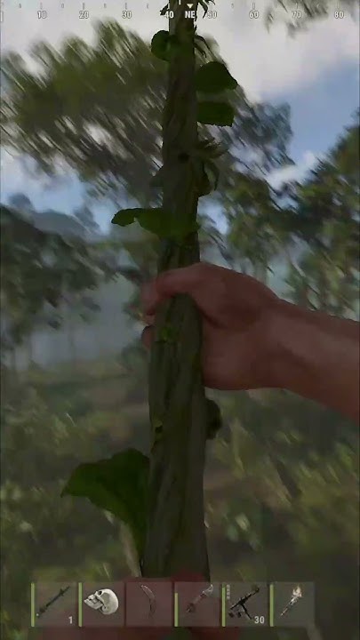 kapok tree and vine coming in rust jungle update - YouTube
