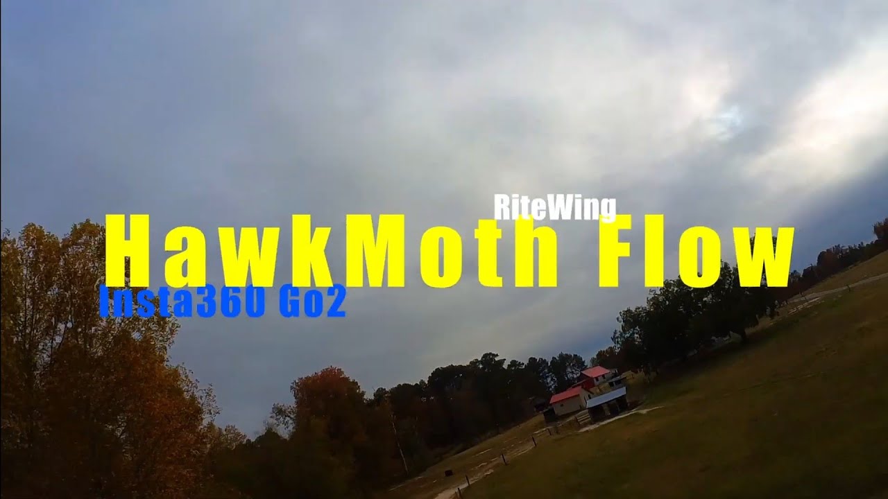 🤘The RiteWing Hawk Moth🤘 -🌊 Flow 🌊 - YouTube