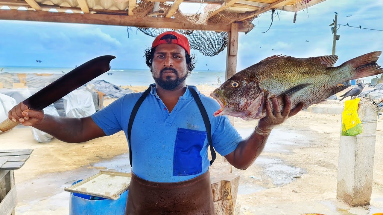 Huge Bulberlips Snapper Fish Cutting Skill | Kondal Fish Cutting | Mr ...