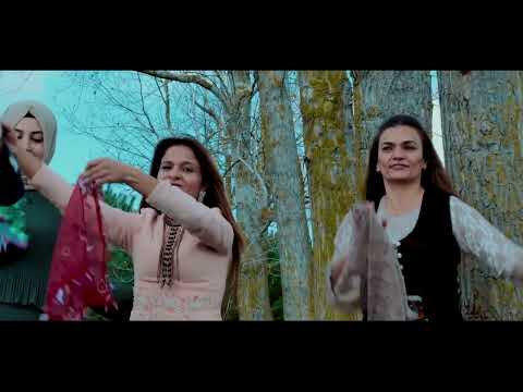 Silvanlı Mehmet - Potpori - (Official Music Video)