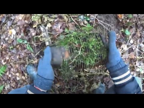 Лесной коп.Добиваю старое место