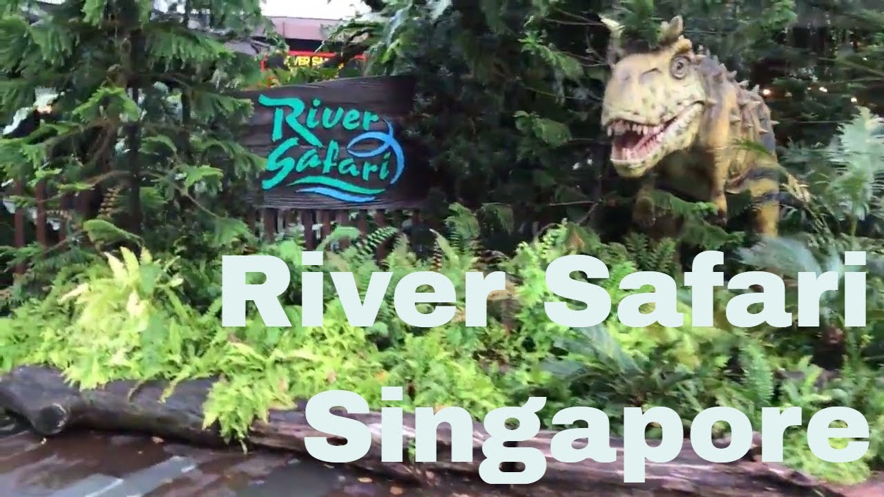 River Safari Amazon River Boat Ride Singapore - YouTube