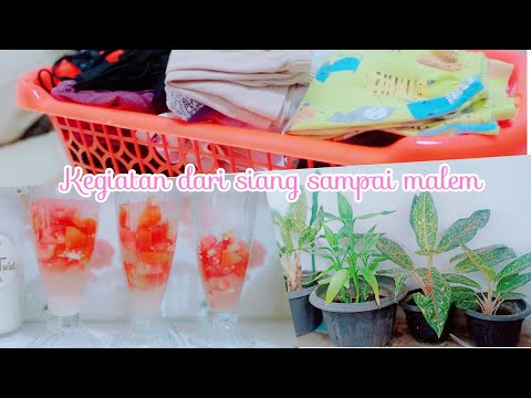 Kegiatan ibu rumah tangga ll dari siang sampai malem