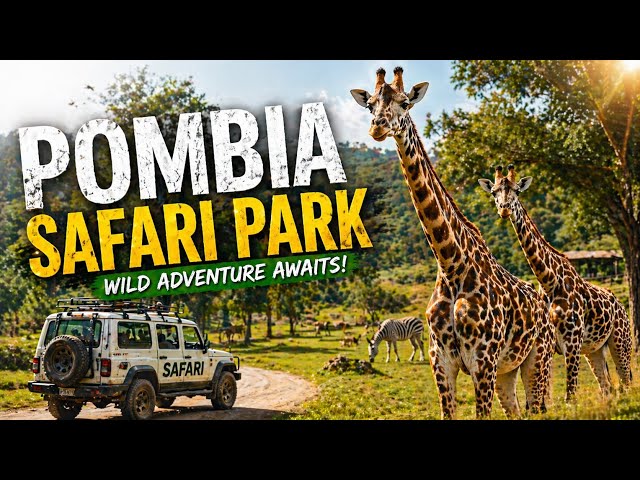 Zoo Safari Park Pombia Novara Safari Park Pombia Picture Of Safari