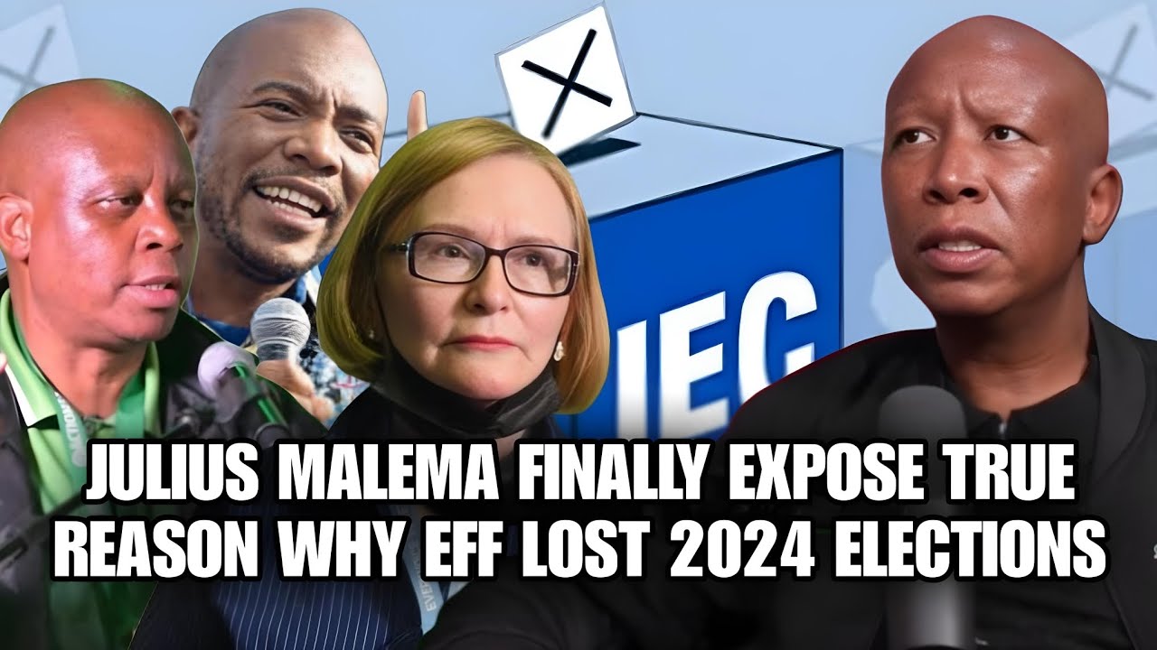 Julius Malema Finally Expose True Reason Why Eff Lost 2024 Elections