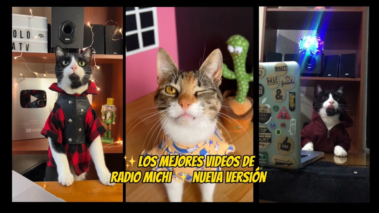 Lo Mejor de Radio Michi ! éxitos y lanzamientos 😼! - YouTube