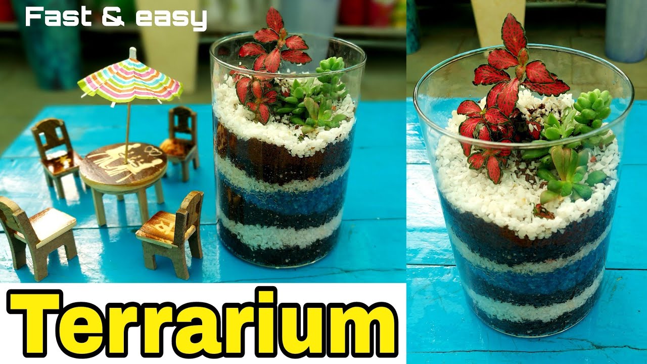 How to make Terrarium at Home (Fast & Easy) - YouTube