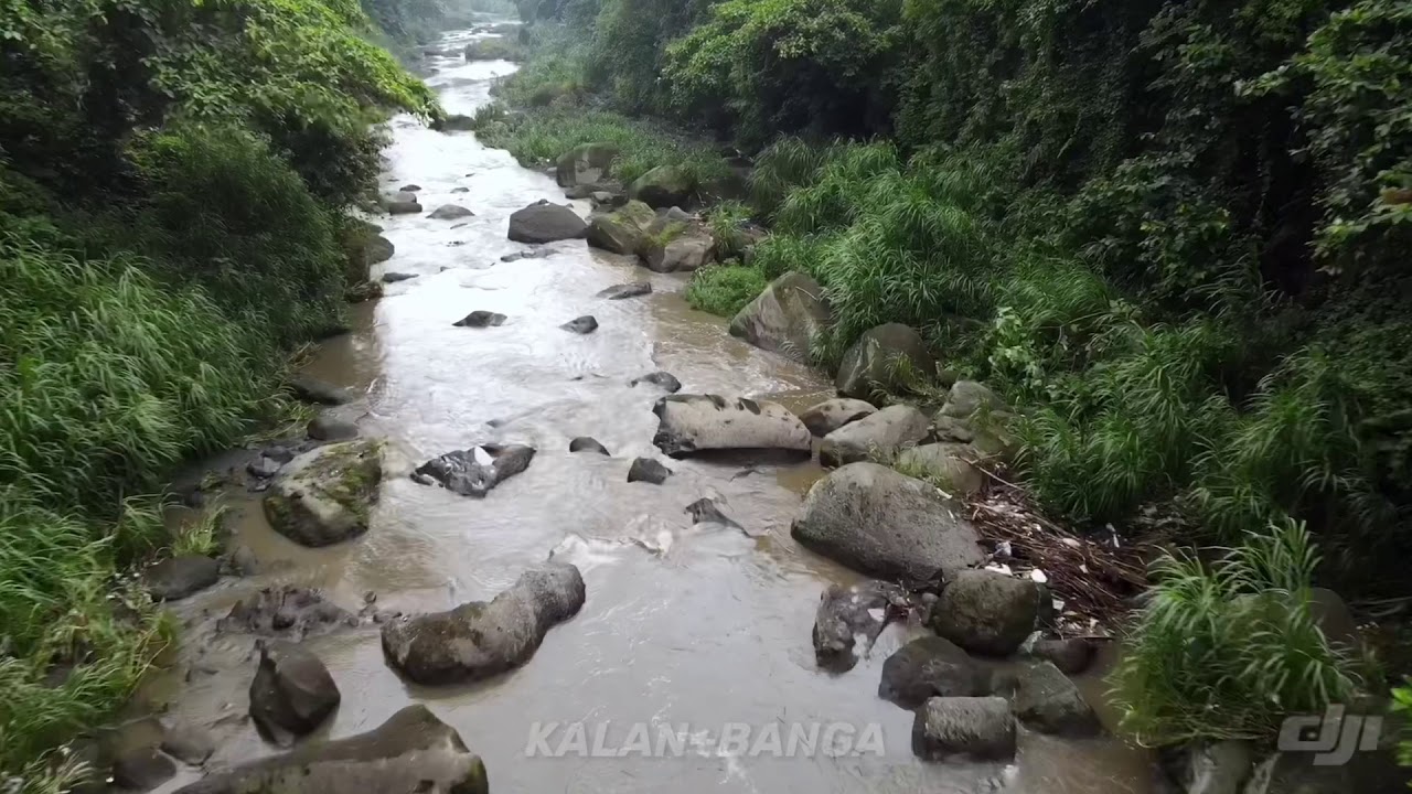 ULANGO - MAKILING HANGING BRIDGE - YouTube
