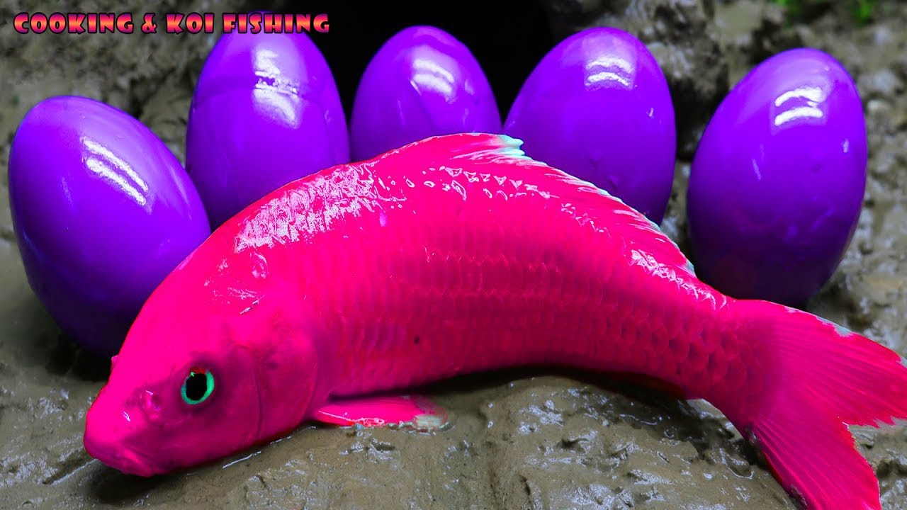 Pink carp protects fry from danger | Stop Motion ASMR | Cooking ...
