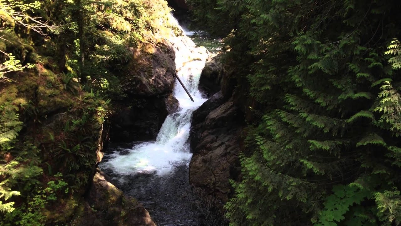 At Twin Falls Trail, North Bend, WA - YouTube