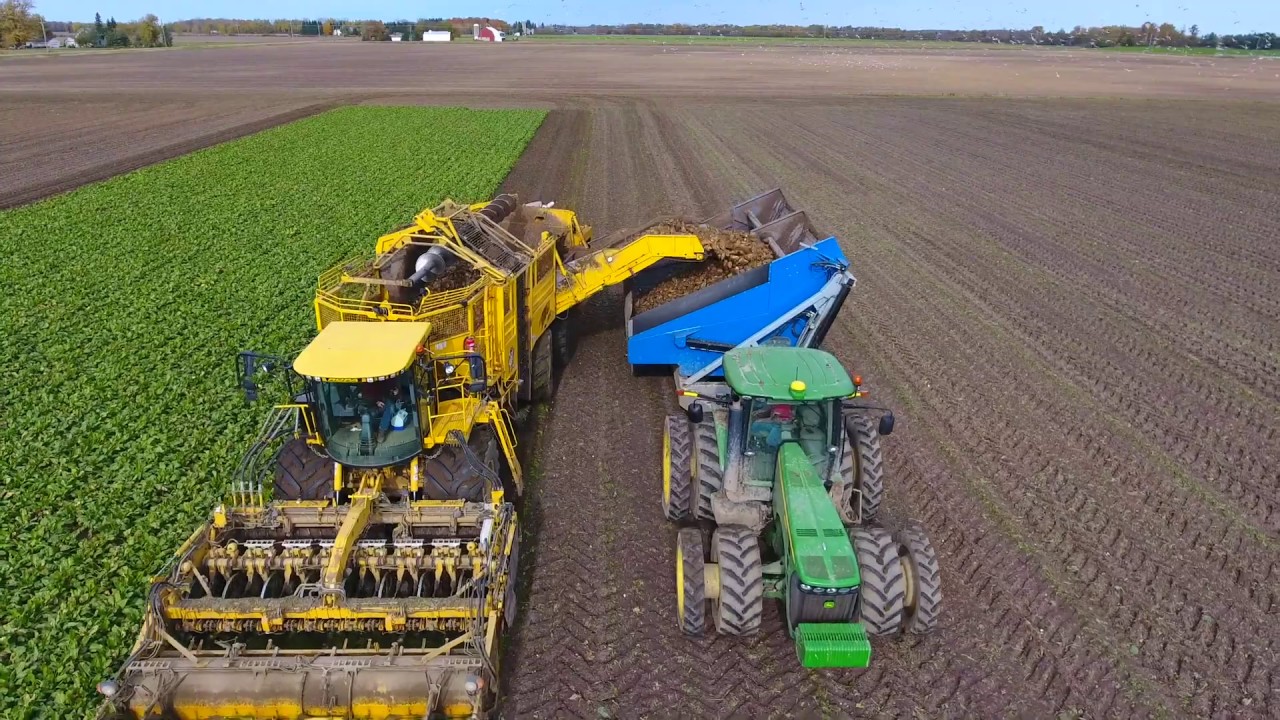 Crop Chaser Sugar Beet Dump Cart - YouTube