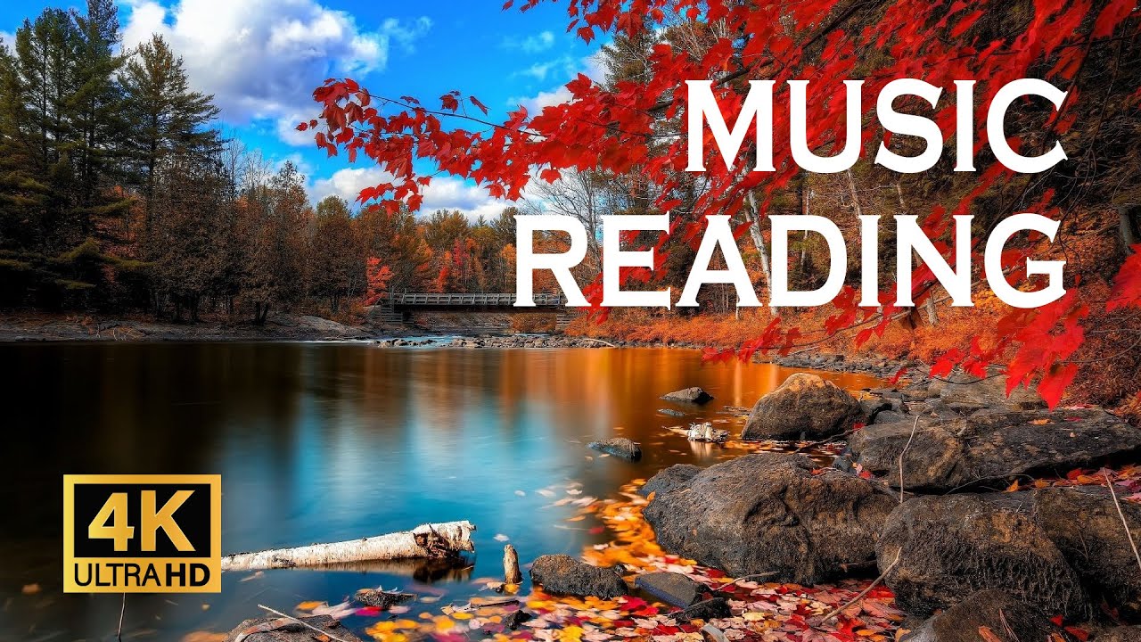 Positive Relaxing Music for Reading, Study, Read, Concentrate ...