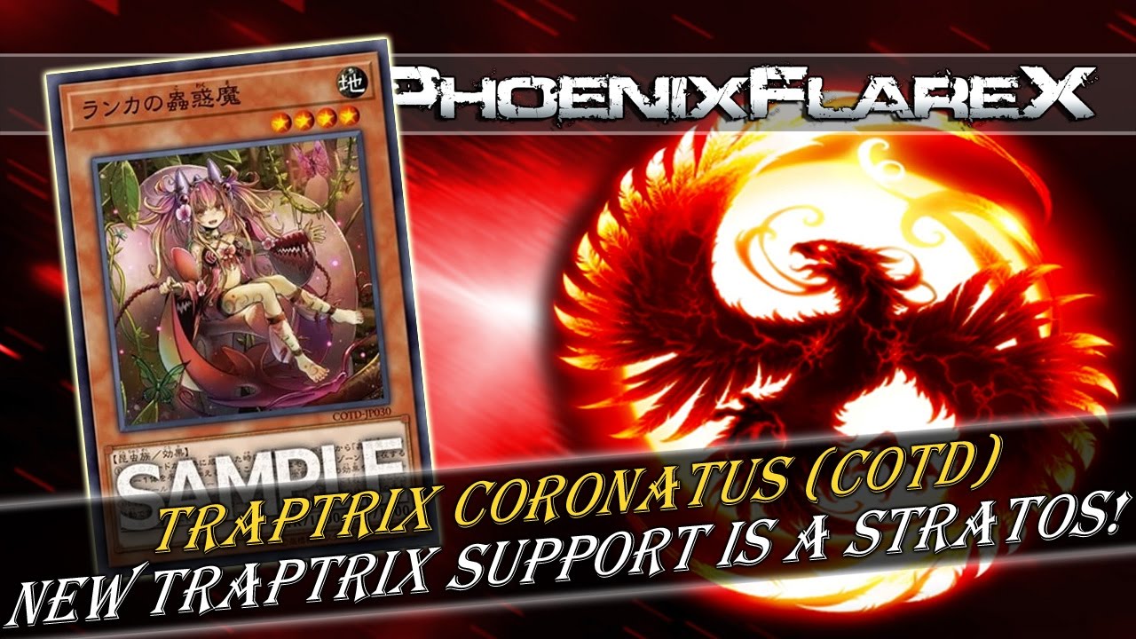 Traptrix Coronatus (COTD) New Traptrix Support is a Stratos! But it ...